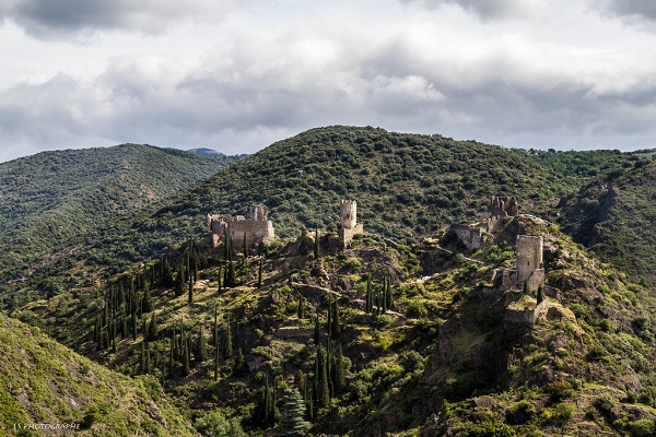 Day tour of the Minervois treasures | GUIDE SUD